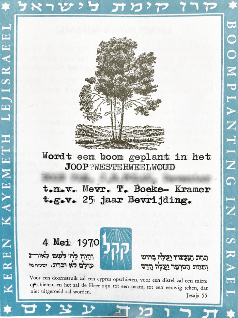 Hoe het Joods nationaal fonds met het planten van bomen bijdraagt aan landroof | NPO Radio 1